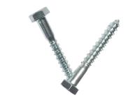 China M6-12 Carbon Steel Zinc Plated Coach Screw DIN571 for sale