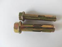 China Flange Nut Head Grade 5.8 M10 Sleeve Anchor Bolts concrete sleeve anchor bolts hex head anchor bolts for sale