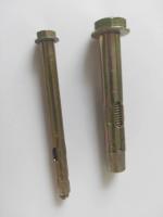 China galvanized Din Standard Hex Head 100mm M10 Sleeve Anchor bolts for sale