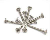 China SS304  cross head round head with washer drill tail screw galvanized large flat head for sale