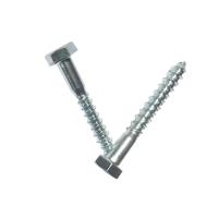 China Zinc  plated    DIN 571 standard   hex  head  wood  screw  half  thread  with  different  size of manufacturing co,ltd for sale
