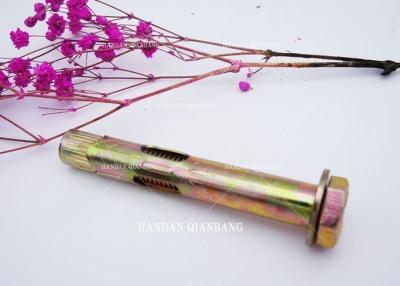 China Flange Nut Head Grade 5.8 M10 Sleeve Anchor Bolts concrete sleeve anchor bolts hex head anchor bolts for sale