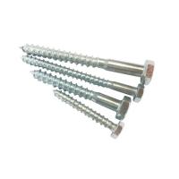 China Ss 304 316 Hex Wood Screw With Zinc White DIN 571 for sale