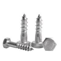 China Ss 304 316 Hex Wood Screw With Zinc White DIN 571 for sale