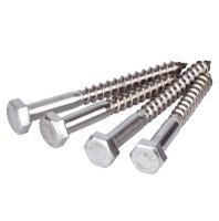China Ss 304 316 Hex Wood Screw With Zinc White DIN 571 for sale
