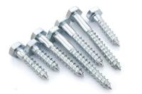 China Ss 304 316 Hex Wood Screw With Zinc White DIN 571 for sale