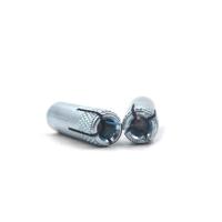 China Flange-drop-in-anchor with lip drop in wedge anchor expansion anchor drop in anchor bolt for sale