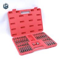 China Customized Logo Alloy Steel CRV Material 54pcs Plastic Box Bits Set for High Accuracy for sale