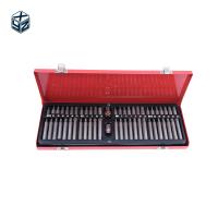 China Muliti-Purpose High Batch Head Accuracy Precision Machining CRV 54pcs Steel Box Bits Set for Hand Tools for sale