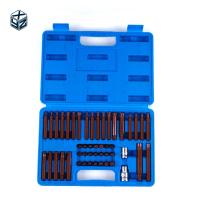 China Multifunctional 48pcs S2 Plastic Box Bits Set in Natural Finish for Precision Machining for sale