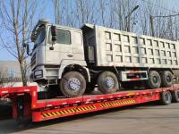 China Used Shacman 8x4 Dump Tipper Truck 375hp 12 Wheels Tubeless Radial Tire LHD for sale