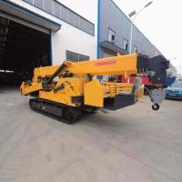 China 8 Ton Spider Crane Remote Control Tracked Chassis Portable Lift Crane 17m Boom CE for sale