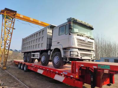 China Shacman F3000 8x4 Dump Truck 12 Wheels 16-20 Cubic Meter 375-430hp Euro II-V for sale