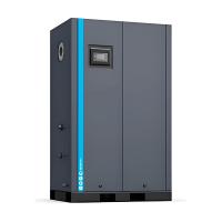 China Heavy Duty Industrial Membrane Nitrogen Generator for Continuous Production for sale