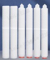 China Hydrophilic PTFE Pleated Filter Cartridge High Flow Chemical Resistant for sale