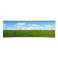 China 29-inch Bar Type LCD Panel 1920 x 540 Pixels with 700 Nits Brightness from BOE DV290FBM-N10 for sale