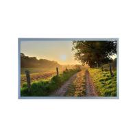 China 15.6-inch Industrial LCD Panel AUO G156HAN04.0 1000 Cd/m2 for Outdoor High Brightness Equipment for sale