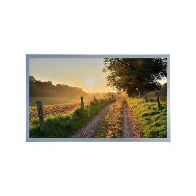 China 15.6-inch Industrial LCD Panel AUO G156HAN04.0 1000 Cd/m2 for Outdoor High Brightness Equipment for sale
