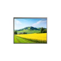China 12.1'' TFT LCD Panel with 1024x768 Resolution from BOE EV121X0M-N10 and PV121X0M-N10 for sale
