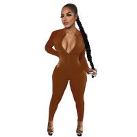 China New Antibacterial Drop Spring One-Piece Set Teams Sportswear Tracksuit Long Sleeve Zipper Pants Overalls for sale