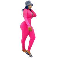 China New Antibacterial Drop Spring One-Piece Set Teams Sportswear Tracksuit Long Sleeve Zipper Pants Overalls for sale