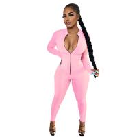 China New Antibacterial Drop Spring One-Piece Set Teams Sportswear Tracksuit Long Sleeve Zipper Pants Overalls for sale
