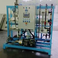 China 1000L/H Seawater Filtration Equipment Household Saltwater Desalination System 20 Year Life for sale
