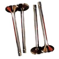 China Car Spare Parts Exhaust Valve 468448 423011 468303 For VOLVO for sale