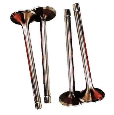 China Car Spare Parts Exhaust Valve 422320 468302 For VOLVO for sale