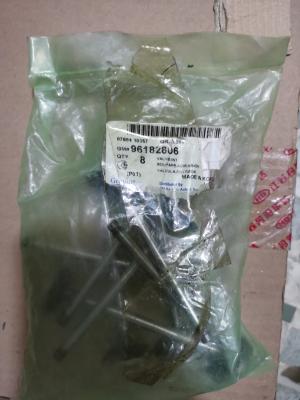 China Genuine OEM 96182806 Inlet Valve Set of 8 for Daewoo Nubira Lanos Rezzo Chevrolet Vivant for sale
