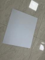 China Processless CTP Plate 0.15mm 0.30mm Thickness 1350mm Coil Width 22-25s Production Time for sale