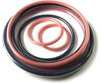 China FEP / PFA Encapsulated O Ring Low Permeability for sale