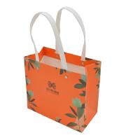 China Craft Custom Paper Shopping Bags FCS Cmyk Printing Eco Friendly for sale