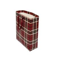 China CCNB Custom Paper Shopping Bags CMYK Luxury Velvet Gift for sale