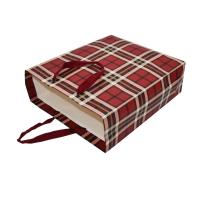 China CCNB Custom Paper Shopping Bags CMYK Luxury Velvet Gift for sale