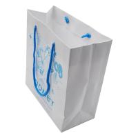 China Recyclable CDR Custom Printed Paper Shopping Bag CMYK PMS With Rope Handles for sale