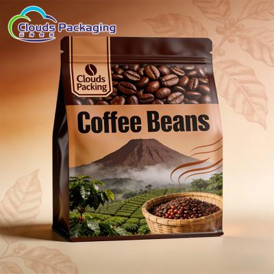 China Custom Printed Flat Bottom Stand Up Zipper Pouch for Coffee Packaging 121℃ Retort for sale
