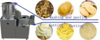 China Multifunction Potato Peeling and Slicing Machine 100-200kg/h Capacity with 0.75-1.1kw Power for French Fries and Chips for sale
