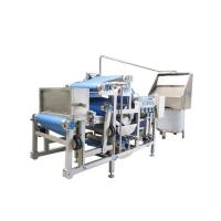 China Professional Custom Industrial Cold Press Juicer Apple Juice Belt Type Press for sale