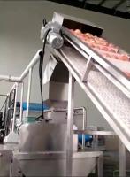 China Professional Custom Industrial Cold Press Juicer Apple Juice Belt Type Press for sale