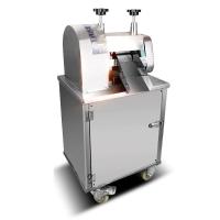 China Electric Sugarcane Juice Extractor 300kg/h 220V Commercial Sugar Cane Juicer Machine for sale