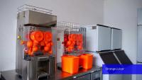 China Automatic Commercial Orange Juicer Orange Juice Making Machine 120W for sale