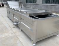 China Automatic Fresh Ginger Slicer Cutting Machine 300 kg per Hour Adjustable Thickness for sale