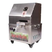 China Commercial Sugarcane Juice Extractor 100-150kg/H 350W Fruit Vegetable Juicer Machine for sale