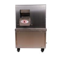 China Commercial Sugarcane Juice Extractor 100-150kg/H 350W Fruit Vegetable Juicer Machine for sale