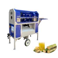 China Stainless Steel Sugar Cane Peeling Machine 500W 220V Automatic Thickness Adjustable for sale