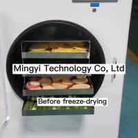 China 6kg to 20kg Batch Capacity Medium Mini Freeze Dryer with Oil-Free Pump - 220V 50HZ Industrial Drying Machine for sale