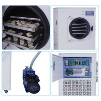 China 6kg to 20kg Batch Capacity Medium Mini Freeze Dryer with Oil-Free Pump - 220V 50HZ Industrial Drying Machine for sale