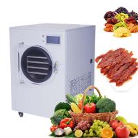 China 6kg to 20kg Batch Capacity Medium Mini Freeze Dryer with Oil-Free Pump - 220V 50HZ Industrial Drying Machine for sale