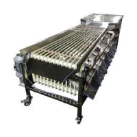China Multifunctional Fruit Size Grading Sorting Machine 220V 1.5kW for Avocado Oranges Dates for sale